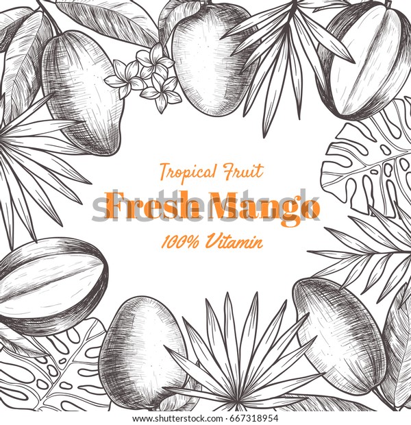 Vector Frame Mango Tropical Leaves Hand Stock Vector (Royalty Free ...