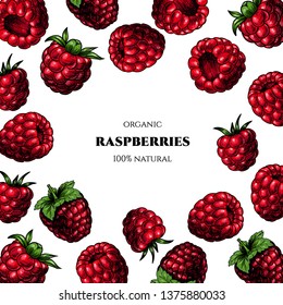 Vector Frame Raspberries Hand Drawn Vintage Stock Vector (Royalty Free ...