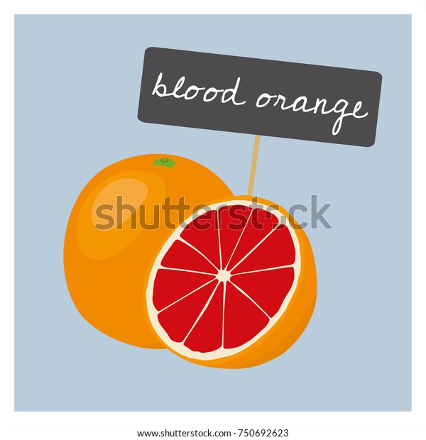 Vector Fruit Blood Orange Stock Vector (Royalty Free) 750692623 ...