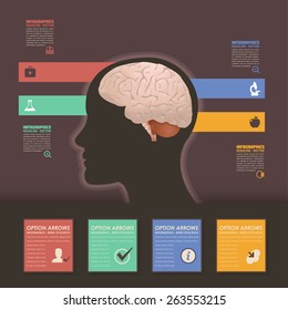 Phrenology Head Brain Map Inphographic Transcript Stock Vector (Royalty ...