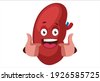 14,181 Kidney Cartoon Royalty-Free Images, Stock Photos & Pictures ...