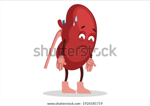 Vector Graphic Illustration Kidney Tired Individually: เวกเตอร์สต็อก ...