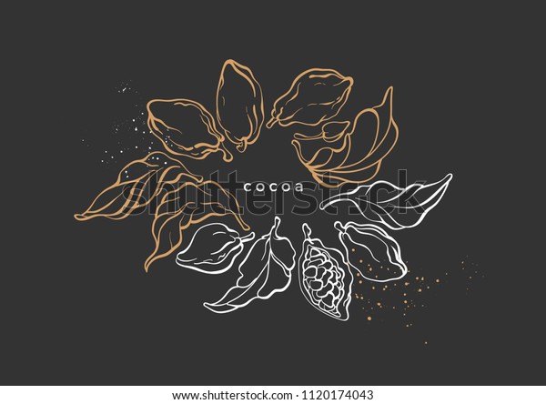 Vector Graphic Symbol Cocoa Tree Branch Stock Vector (Royalty Free ...
