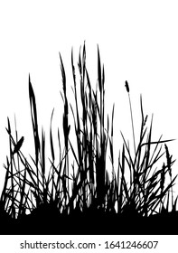 Set Black Silhouettes Meadow Wild Grasses Stock Vector (Royalty Free ...