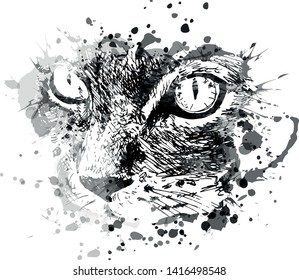 Vector Grayscale Illustration Cat Face Stock Vector (Royalty Free ...
