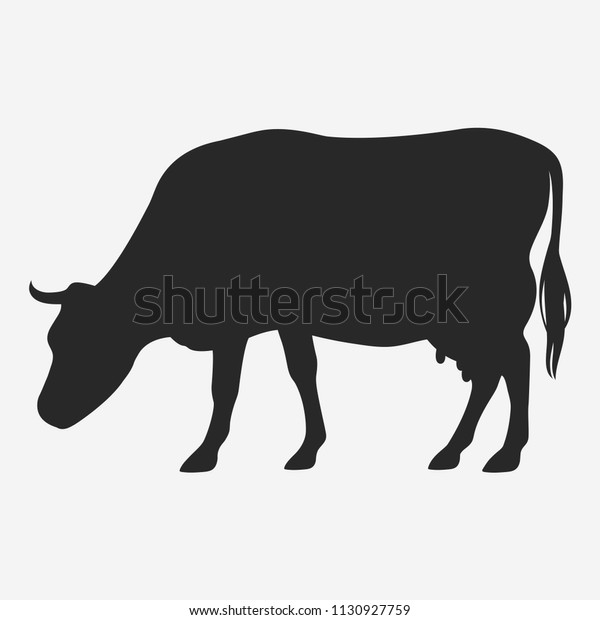 Vector Grazing Cow Isolated On White Stock Vector (Royalty Free ...