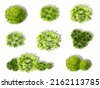 56,195 Plan View Tree Royalty-Free Images, Stock Photos & Pictures ...