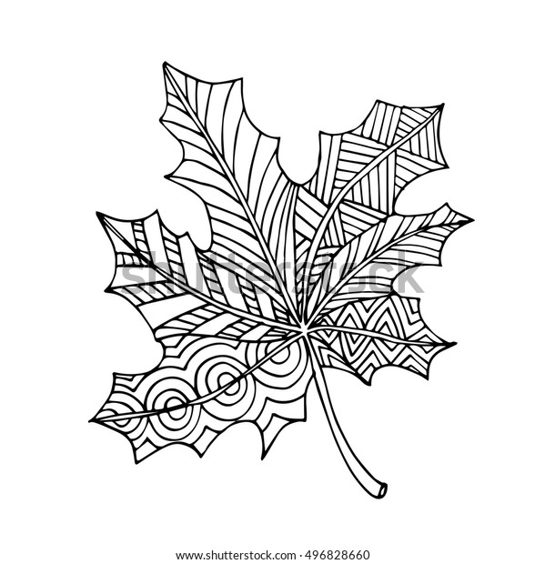 Vector Hand Draw Maple Leaf Zentangle Stock Vector (Royalty Free) 496828660 Vector Hand Draw Maple Leaf Zentangle Stock Vector (Royalty Free) 496828660