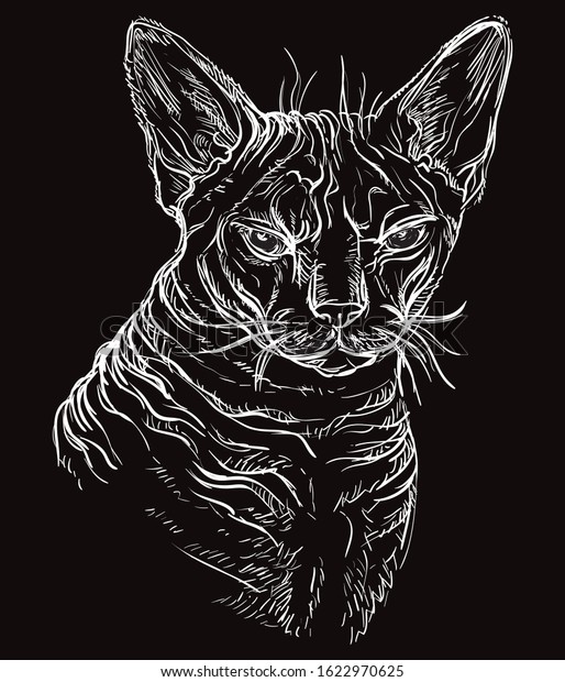 Vector Hand Drawing Portrait Angry Sphinx Stock Vector (Royalty Free ...