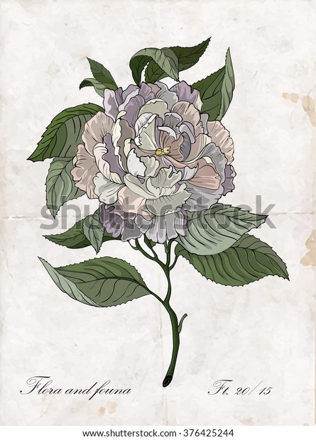 Vector Hand Drawing Rose Branch Botanical Stock Vector (Royalty Free ...