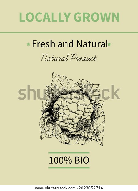 Esbozo de dibujo de la mano: vector de stock (libre de regalías ...