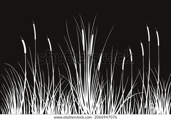 Vector Hand Drawing Sketch Reeds Cane Stock Vector (Royalty Free ...