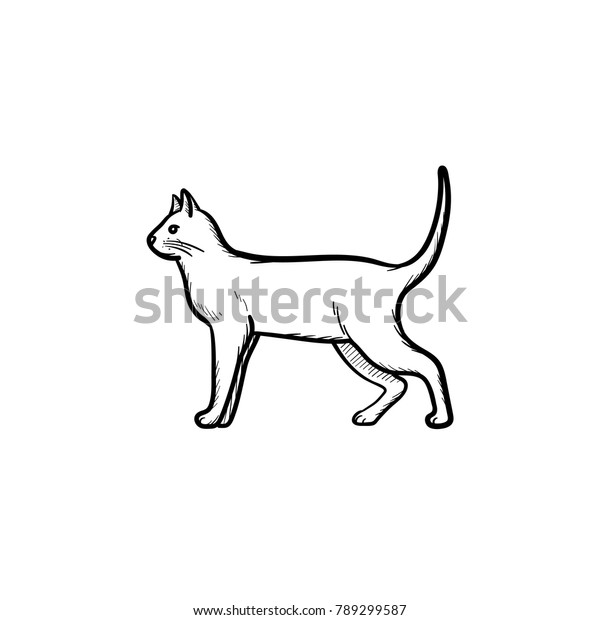 Vector Hand Drawn Cat Outline Doodle Stock Vector (Royalty Free ...