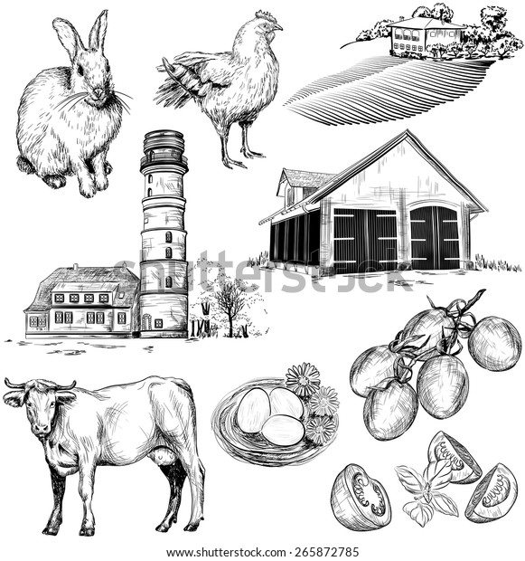 Vector Hand Drawn Collection Farm Agriculture Stock Vector (Royalty ...