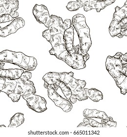 Ginger Detailed Line Art Freehand Drawing Stock Vector (Royalty Free ...