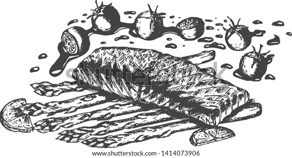 Vector Hand Drawn Illustration Baked Salmon Stock Vector (Royalty Free ...