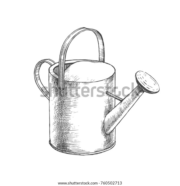 Vector Hand Drawn Illustration Watering Can Stock Vector (Royalty Free ...