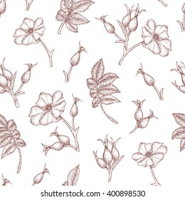 8,042 Rosehip pattern Images, Stock Photos & Vectors | Shutterstock