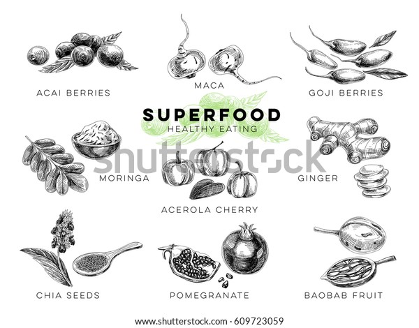 Vector Hand Drawn Superfood Illustrations Set Stock Vector (Royalty ...