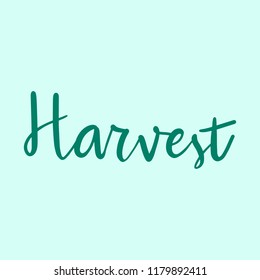 Vector Hand Written Calligraphy Word Harvest Stock Vector (Royalty Free ...