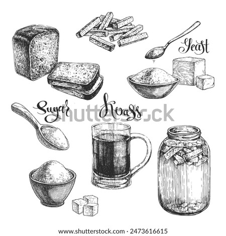 Yeast Drawing | Free download on ClipArtMag