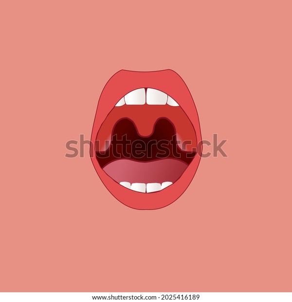 Vector Healthy Human Tonsils Close Front Stock Vector (Royalty Free ...