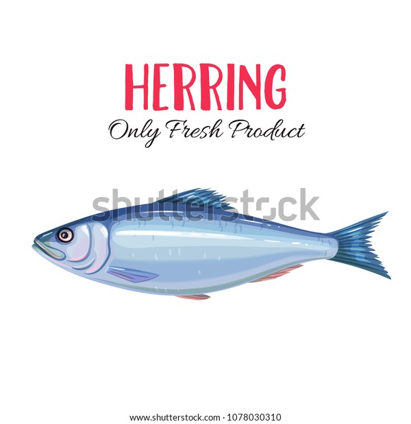 Vector Herring Icon Badge Fish Design Stock Vector (Royalty Free ...