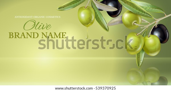 Vector Horizontal Banner Olive Branch On Stock Vector (Royalty Free ...