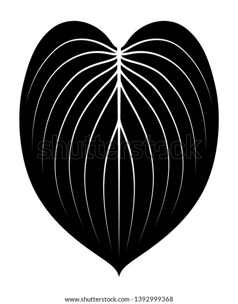 48 imagens de Hosta icon Imagens, fotos stock e vetores | Shutterstock
