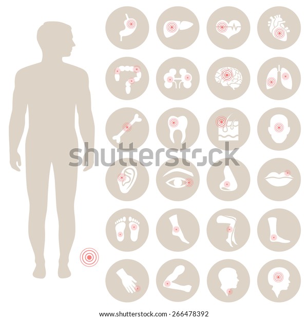 Vector Human Anatomy Body Pain Medical Stock Vector (Royalty Free ...