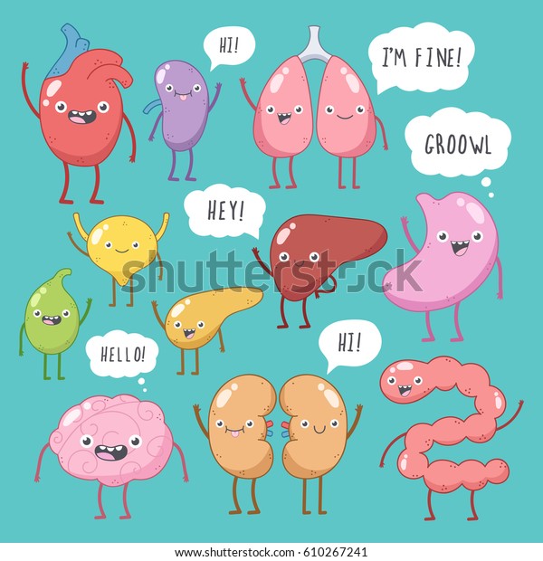Vector human internal organs. Cute smiling heart, lungs, kidneys, liver ...