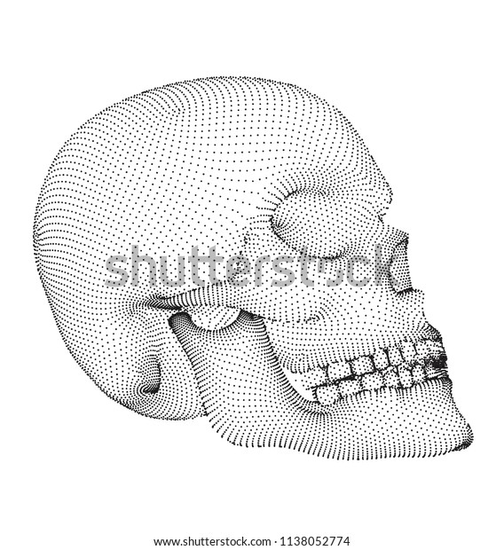 Vector Human Skull On Color Background Stock Vector (Royalty Free ...