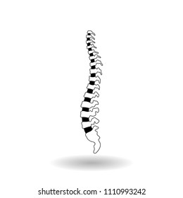 Vector Human Spine Isolated Silhouette Illustration Stock Vector ...