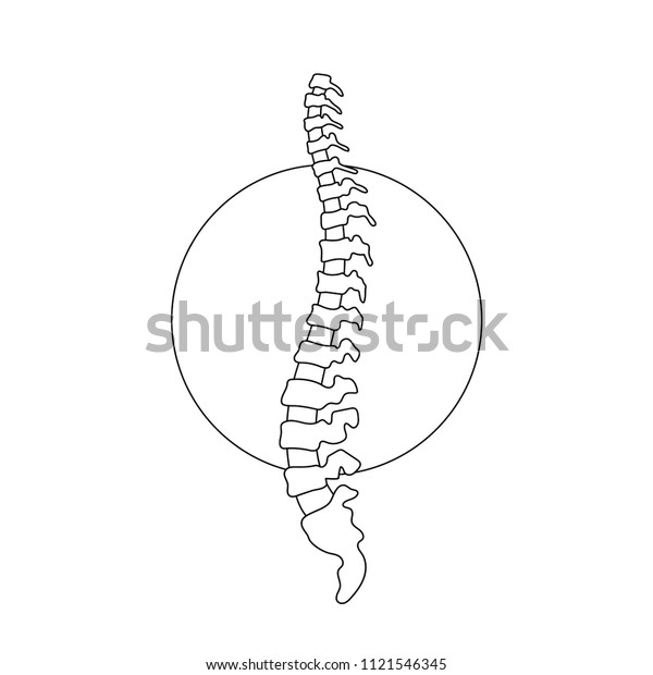 Vector Human Spine Isolated Silhouette Illustration Stock Vector ...