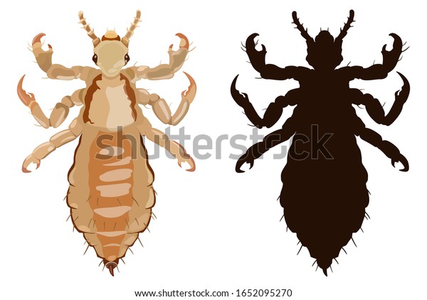 Vector Icon Louse Black Silhouette On Stock Vector (Royalty Free ...