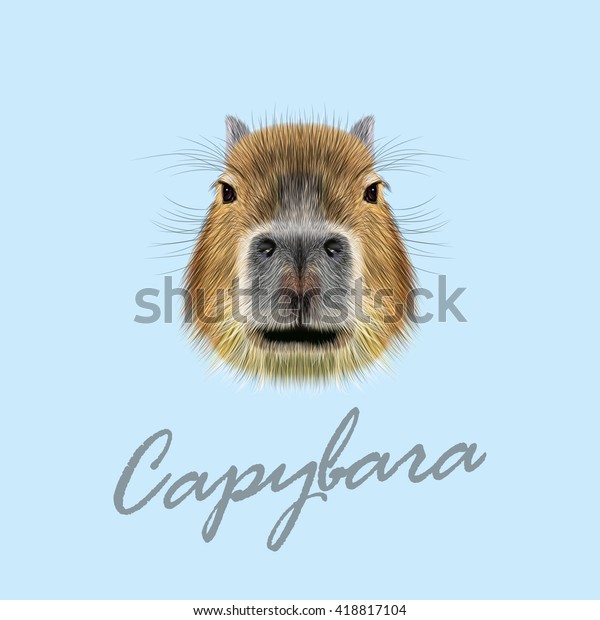 Vector Illustrated Portrait Capybara Cute Face Stock Vector (Royalty ...