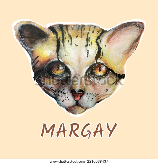 Vector Illustrated Portrait Margay Cat Cute Stock Vector (Royalty Free ...