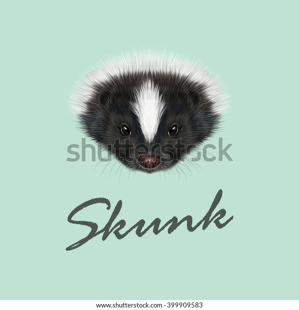Vector Illustrated Portrait Skunk Cute Face Stock Vector (Royalty Free ...