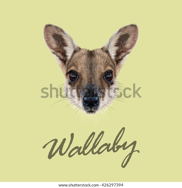 Vector Illustrated Portrait Wallaby Cute Face Stock Vector (Royalty ...