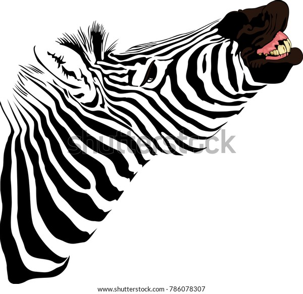 Vector Illustration Abstract Zebra Showing Teeth Stock Vector (Royalty ...