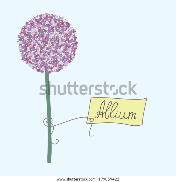 Vector Illustration Allium Stock Vector (Royalty Free) 199059422