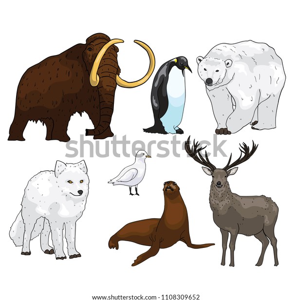 Vector Illustration Animals Living Ice Stock Vector (Royalty Free ...