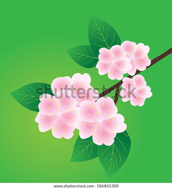 Vector Illustration Apple Blossom Branch On Stock Vector (Royalty Free ...