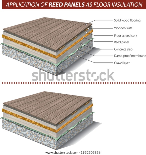 Vector Illustration Application Reed Panels Floor Stock Vector (Royalty ...