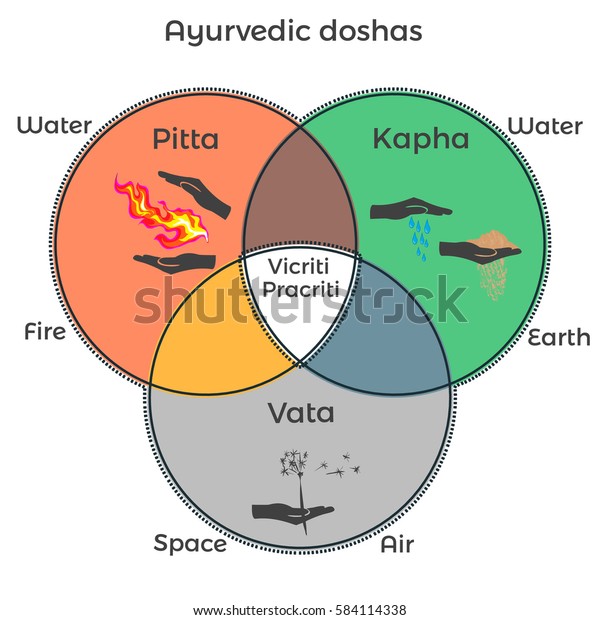 Vector Illustration Ayurvedic Doshas Body Types Stock Vector (Royalty ...