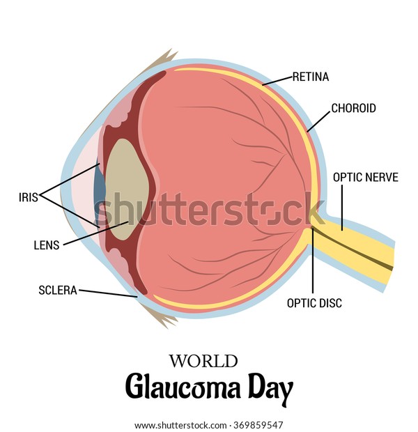 Vector Illustration Background World Glaucoma Day Stock Vector (Royalty ...