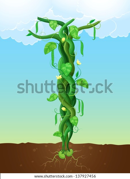 Vector Illustration Bean Stalk On Fairy Stock Vector (Royalty Free ...