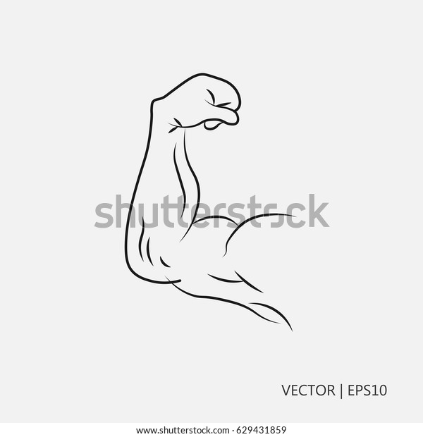 Vector Illustration Biceps Hand Muscles Hand Stock Vector (Royalty Free ...