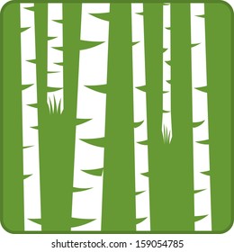 Vector Illustration Birch Trees Forest Stock Vector (Royalty Free ...