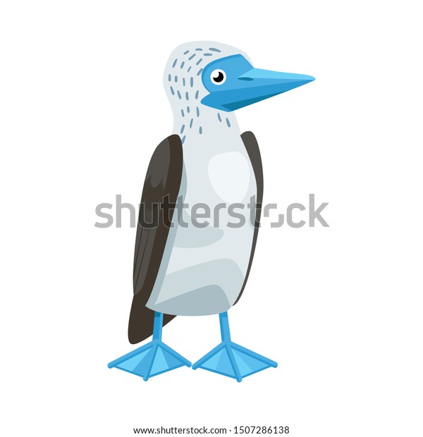 Vector Illustration Bird Booby Symbol Graphic Stock Vector (Royalty ...
